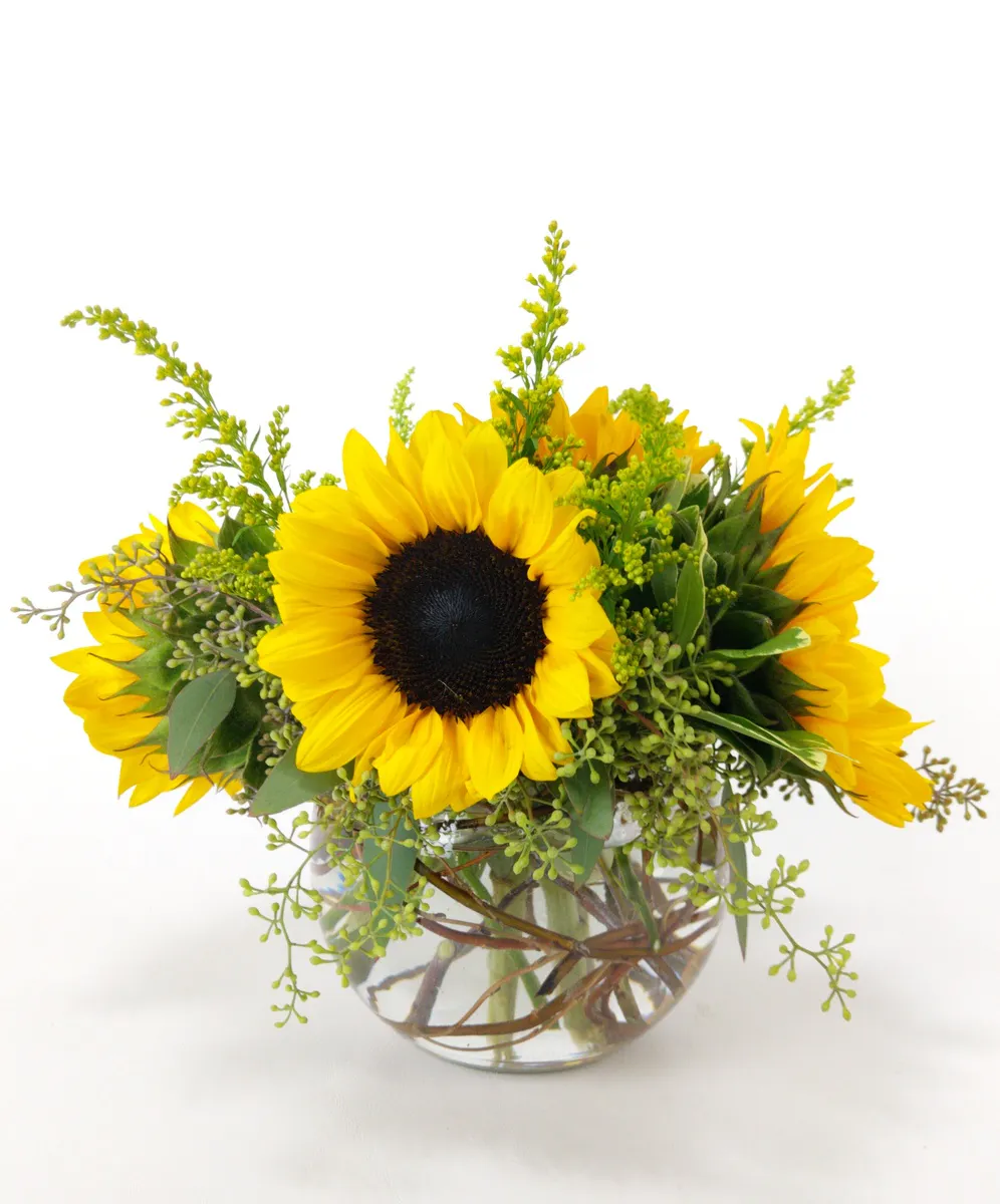 Sassy Sunflowers Floral Arrangement in Minneapolis, MN - Schaaf Floral